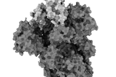 Bindungsscheu verbessert Impfwirkung - News & Events - Logo: Spark Berlin